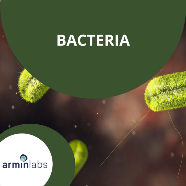 ArminLabs – AONM Shop