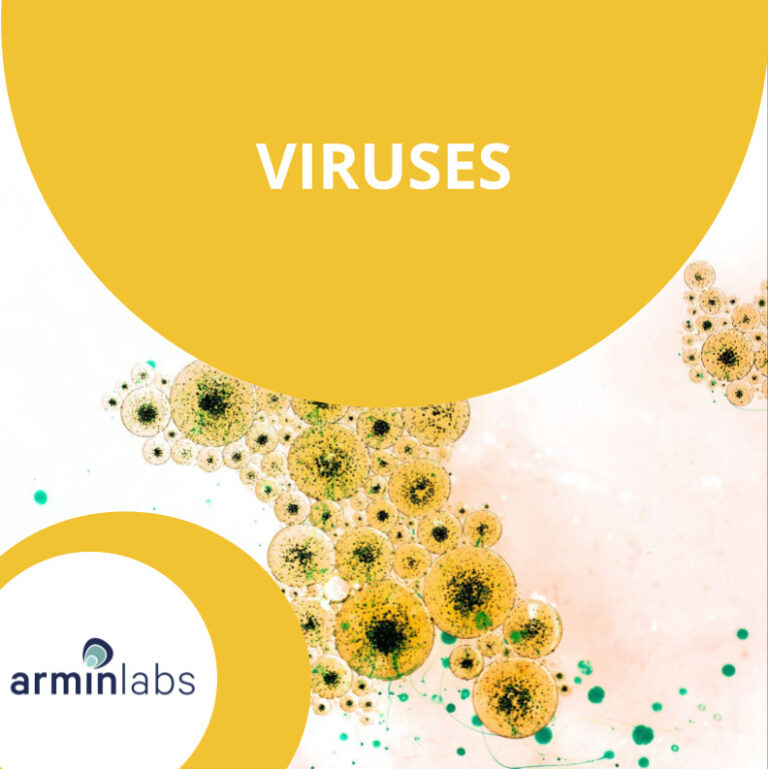 ArminLabs – AONM Shop