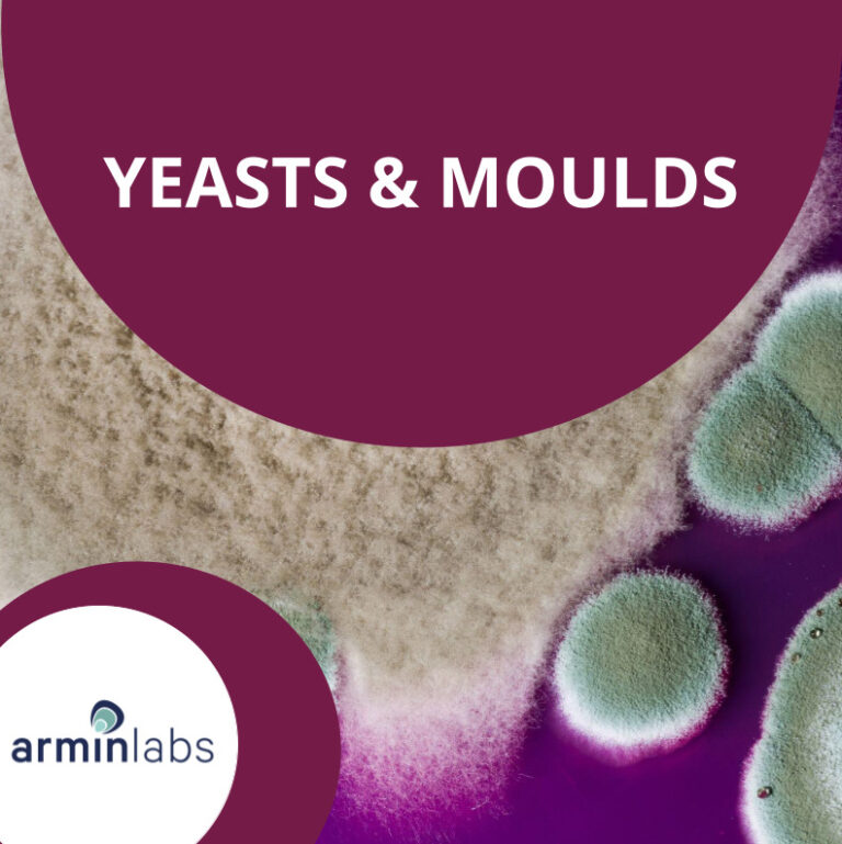 ArminLabs – AONM Shop