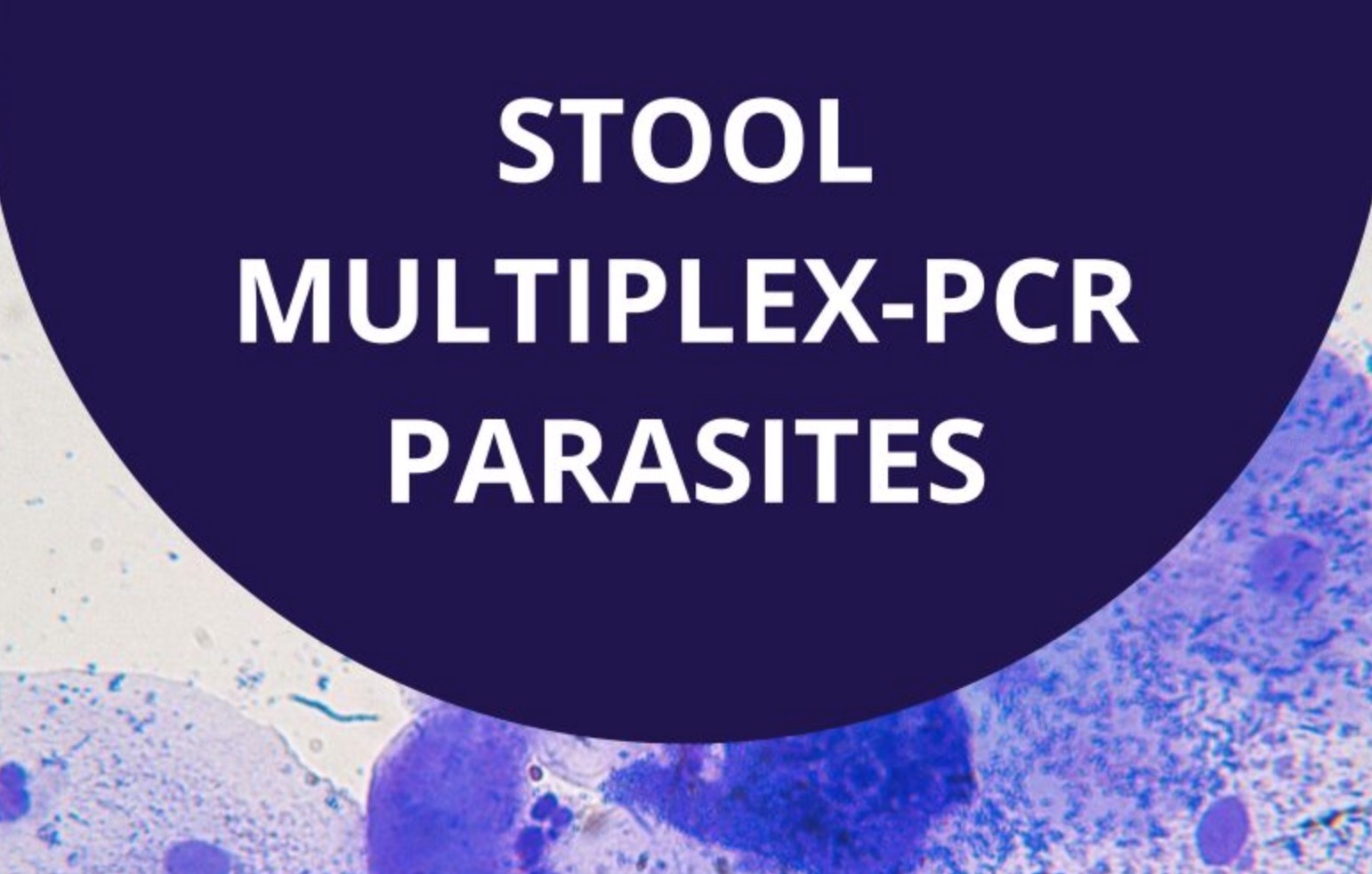 Armin Labs – Parasites – stool test – Academy of Nutritional Medicine